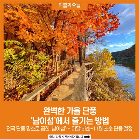 완벽한 가을 단풍 ‘남이섬에서 즐기는 방법