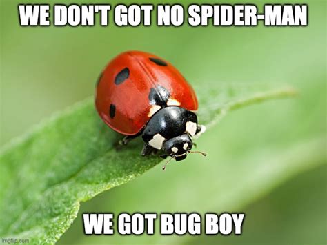 Bug Boy Imgflip