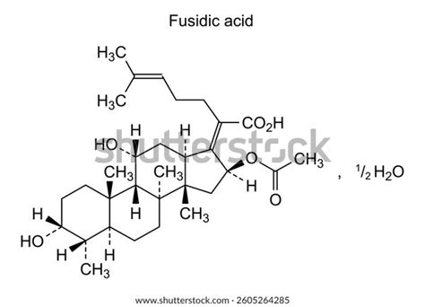 Chemical Structure Fusidic Acid Drug Substance Stock Vector Royalty Free 2605264285 Shutterstock
