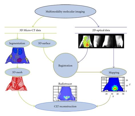 Schematic Of Radioactive Source Distribution Reconstruction With Download Scientific Diagram