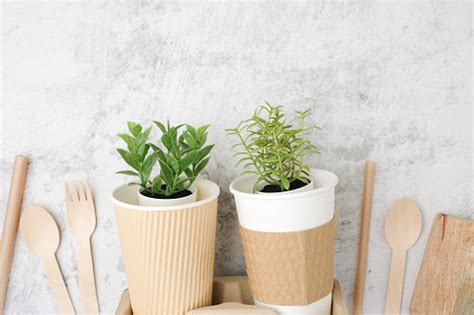 생분해 성 및 지속 가능한 식품 및 음료 패키지와 환경 친화적 인 포장을위한 식물 냄비 0명에 대한 스톡 사진 및 기타 이미지 0명 갈색 갈색 용지 Istock