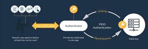 Fido And Passkeys Will Rock The Digital World