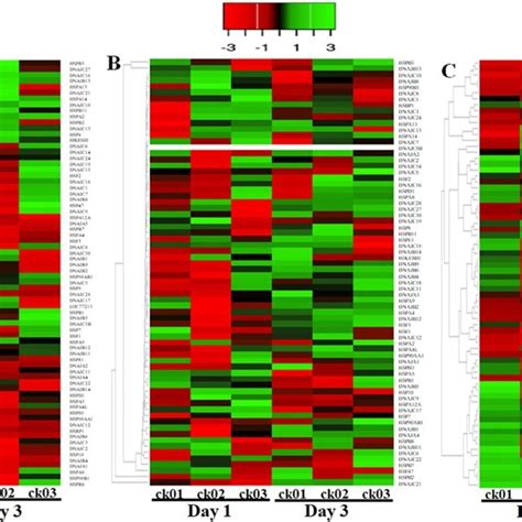 Expression Profiles Of Hsp Genes At 21 Different Growth Stages Of Early Download Scientific