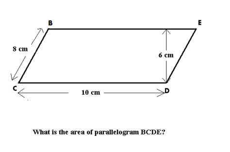 Area Whats The Difference Between Width And Height Mathematics