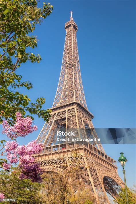 프랑스 파리의 푸른 하늘을 배경으로 봄나무가 있는 에펠탑 파리 일 드 프랑스에 대한 스톡 사진 및 기타 이미지 파리 일 드