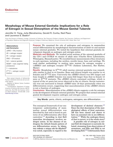 Endocrine Morphology Of Mouse External Genitalia Implications For A Role