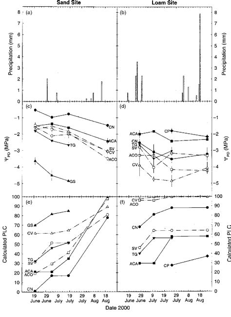 Table 1 From Desert Shrub Water Relations With Respect To Soil