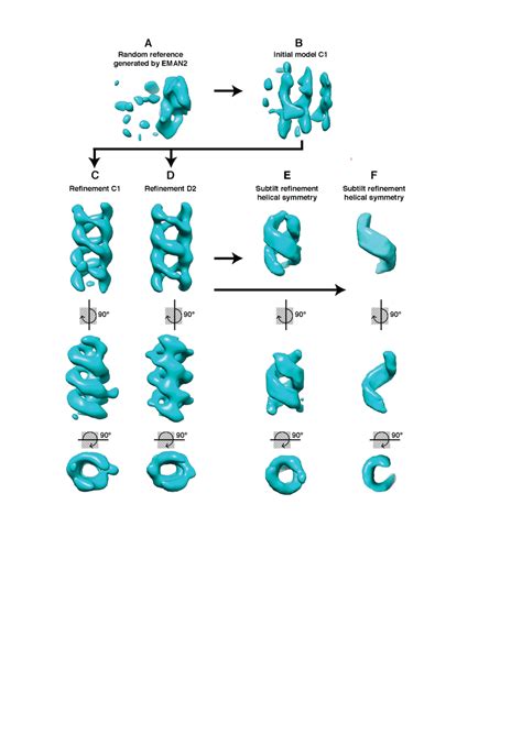Fig S10 Subtomogram Average Workflow A EMAN2 Generated Random
