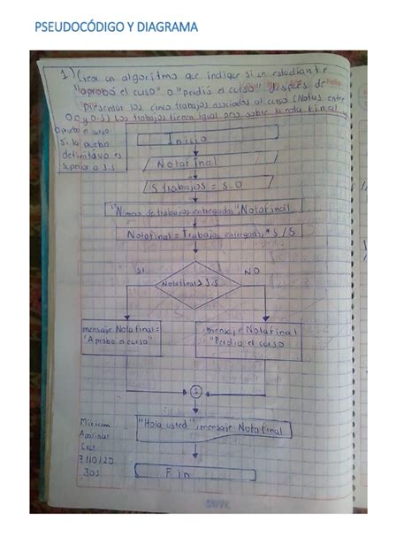 Pseudocódigo Y Diagrama Pdf