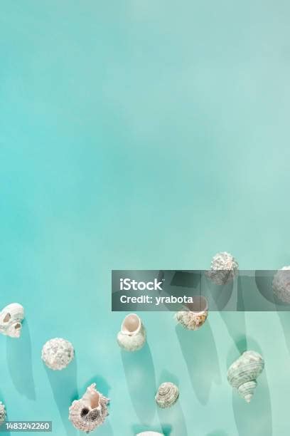 햇빛 조개껍데기 파란색 민트색 폰에 소라 세련된 정물 여름 바다 테마 추상 자연 평면 누워 복사 공간 태양에서 플레어 그라데이션 개념에 대한 스톡 사진 및 기타 이미지
