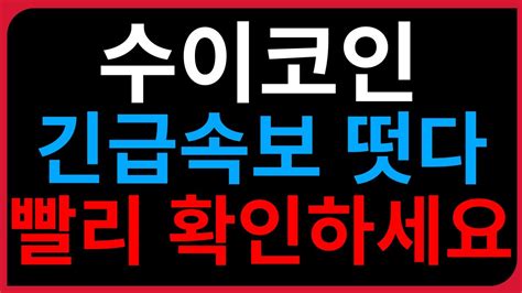 수이 전망 수이코인 긴급 호재 떳다 빨리 확인하세요 Youtube
