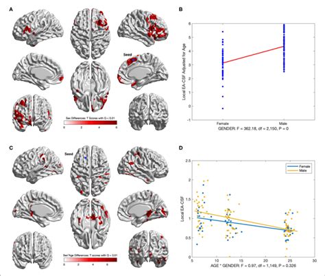 Regions With Sex Differences In Local Ea Csf A Fdr Corrected Download Scientific Diagram
