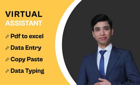 accurate data entry copy paste pdf to excel by farhanabid114 fiverr