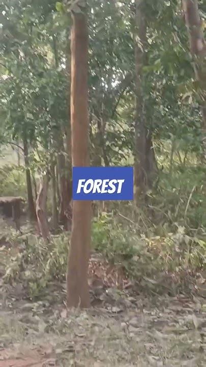 2024shorts 🧐🧐🧐 Youtube