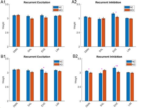 Network Averaged Recurrent Excitation And Inhibition A1 Average