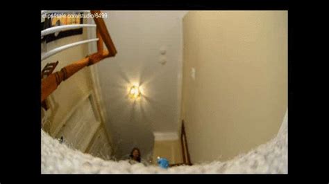 Acg Stumbles Upon Tiny People In Her Carpet They End Up Squashed