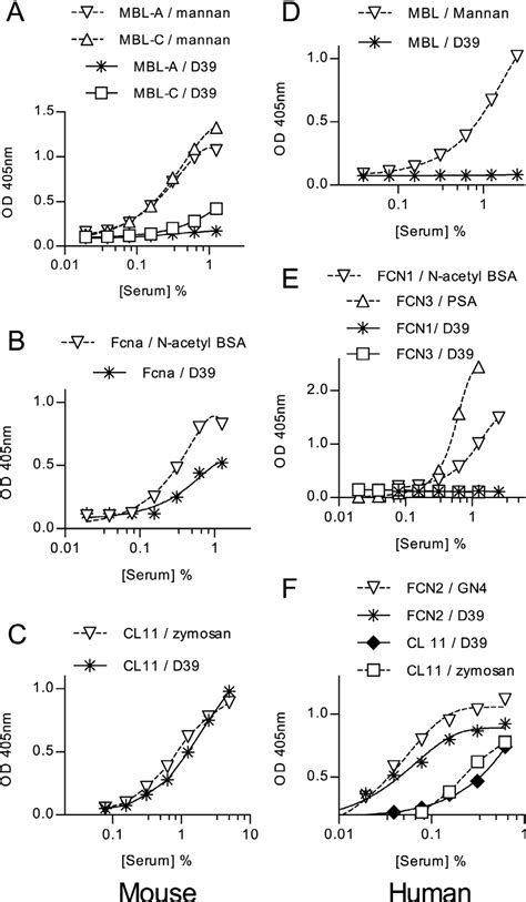 Figure 3 From The Lectin Pathway Of Complement Activation Is A Critical Component Of The Innate