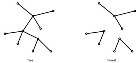 Properties Of Trees In Discrete Mathematics
