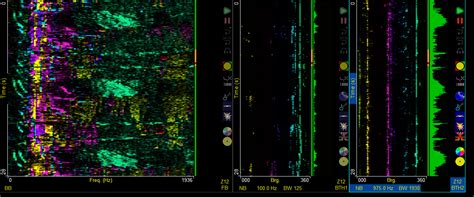 And Whale Song Centre For Whale Research
