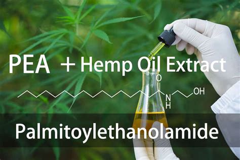Uses Of Palmitoylethanolamide Chinese Factory Provide Top Quality