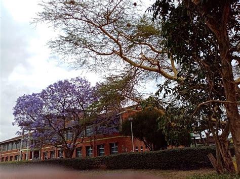 How Client Feedback Boosted Project Success Enos Odera Posted On The Topic Linkedin