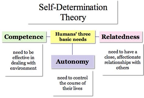 Our Hot Topics Self Determination Theory