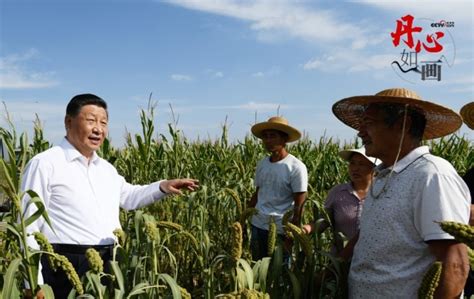 丹心如画汔可小康 新闻频道 中国青年网