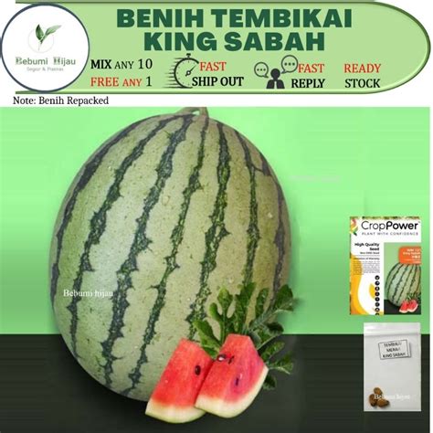 3 Biji Benih Tembikai Merah King Sabah Watermelon Seeds Hybrid Manis