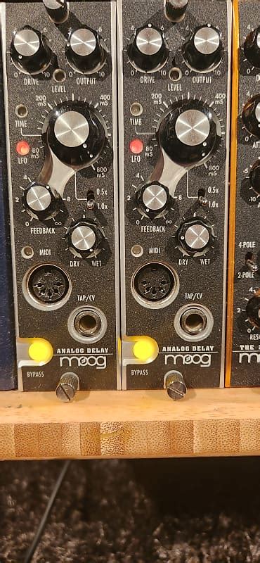 PAIR Moog 500 Series Analog Delay Module 2010s Black Reverb