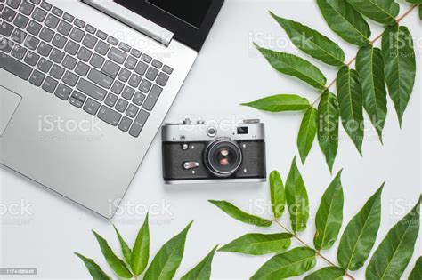 노트북 녹색 잎흰색 배경에 복고풍 카메라 자연과의 통일의 개념 에코 정물 맨 위 보기 0명에 대한 스톡 사진 및 기타 이미지