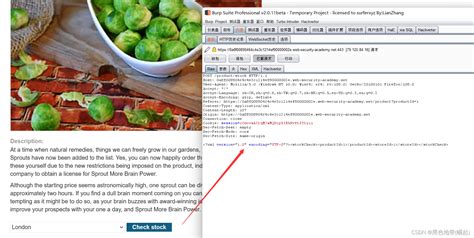Xml外部实体注入（xxe注入） 9个实验（全） 云社区 华为云