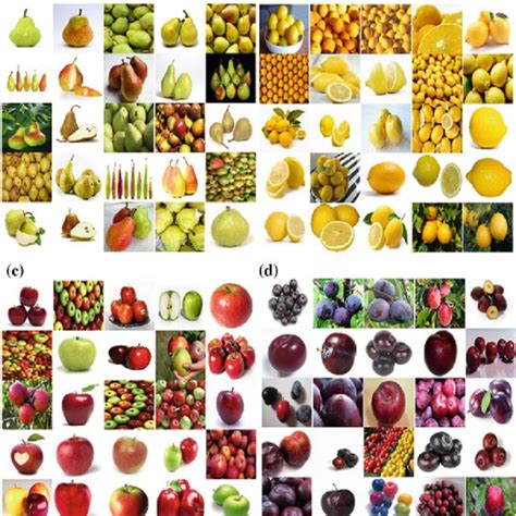 Comparison Of Classification Results By A Svm Method B Cnn Method