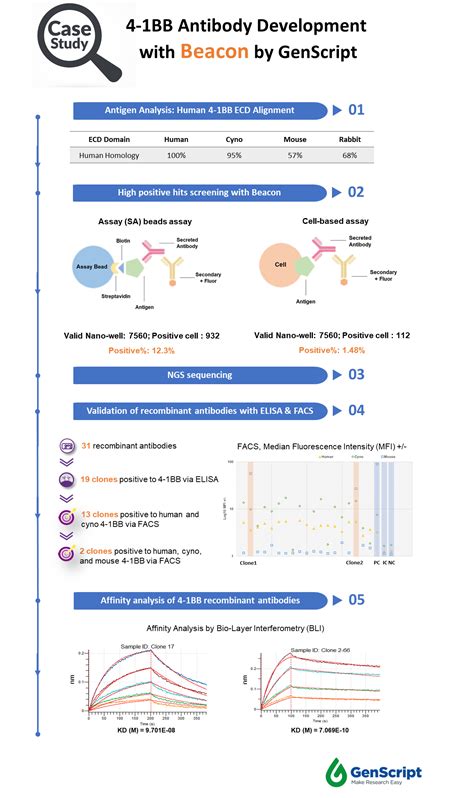 Genscript What Can We Do To Accelerate The Antibody