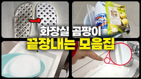 화장실 곰팡이 제거하는 방법 총정리 욕실 줄눈 타일 곰팡이 제거 물 때 찌든 때 쉽게 청소하기 Youtube
