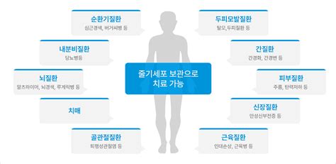 줄기세포 정의 줄기세포 전문기업 제노스템