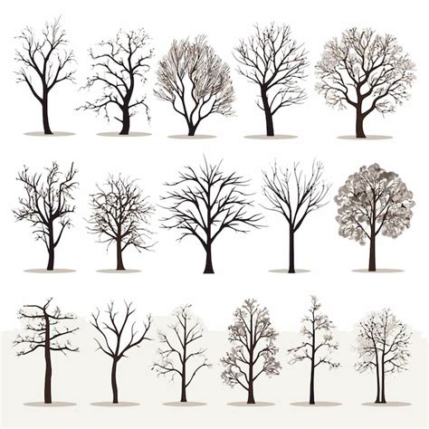 Premium Vector Vector Collection Of Winter Tree Premium Vector Vector Collection Of Winter Tree