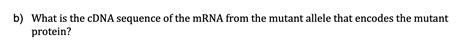 Solved The Double Stranded DNA Sequence Shown Below Is Part Chegg