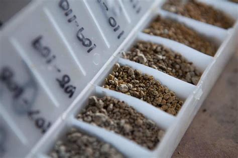 Mining Grade Control Software Understanding Your Material Micromine