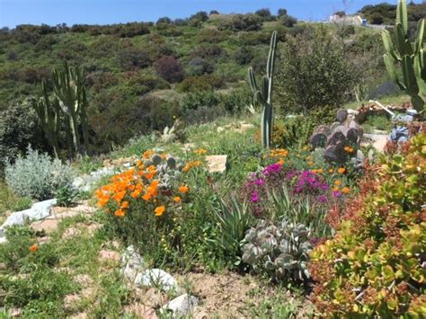 Roxane Berger Posted On Linkedin