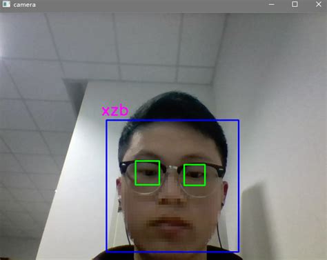 OpenCV 视频中的人脸检测 Pinocchio 博客园