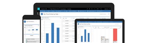 Dynamics 365 Project Operations D365 Business Application