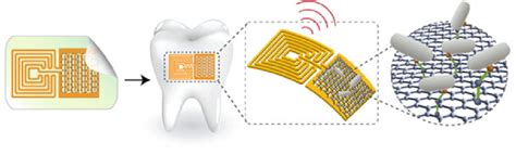8 Schematic Illustration Of Biotransferrable Graphene Wireless