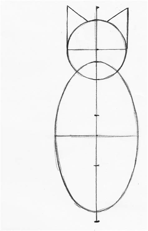 How To Draw A Realistic Cat Step By Step Udemy Blog