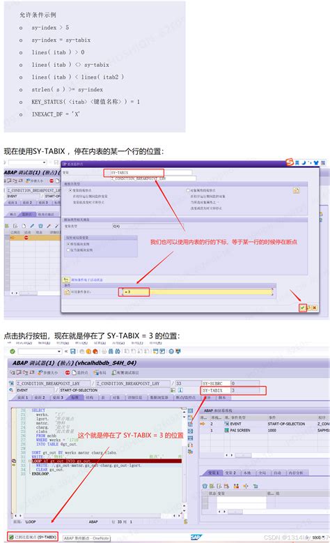 Abap条件调试abap 监控点 Csdn博客