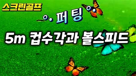스크린골프 퍼팅 5m컵수각과 볼스피드 Youtube