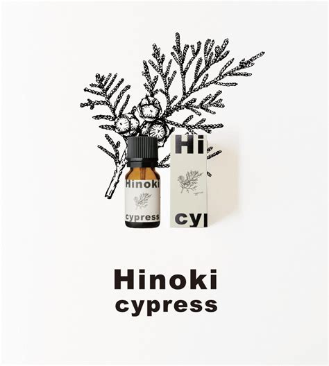 私たちの想い Micil（ミシル）