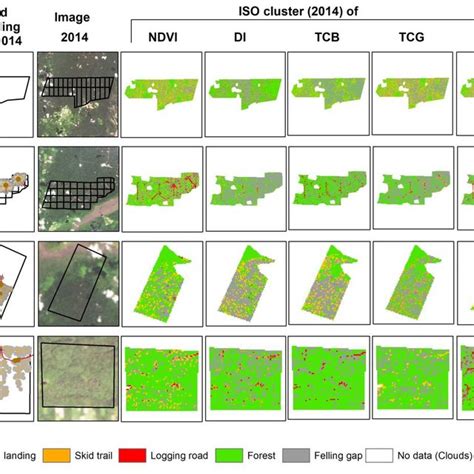Classification Of Forest Disturbance Categories From Selective Logging Download Scientific