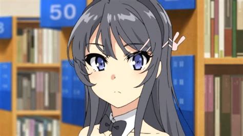 Rascal Does Not Dream Of Bunny Girl Senpai Characters Ktwyuc