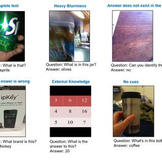 Examples Of Visual Questions For Which Workers Indicated They Couldn T Download Scientific