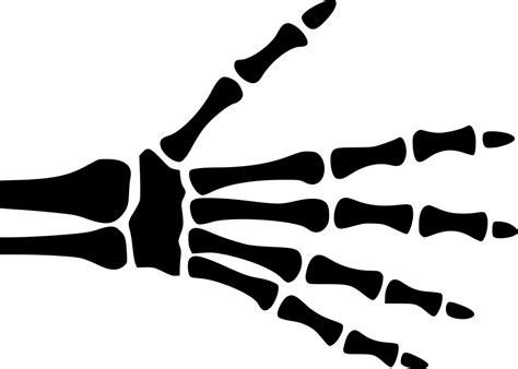 Download Hand Skeleton Comments Free Skeleton Hand Svg Clipart 1982246 Pinclipart